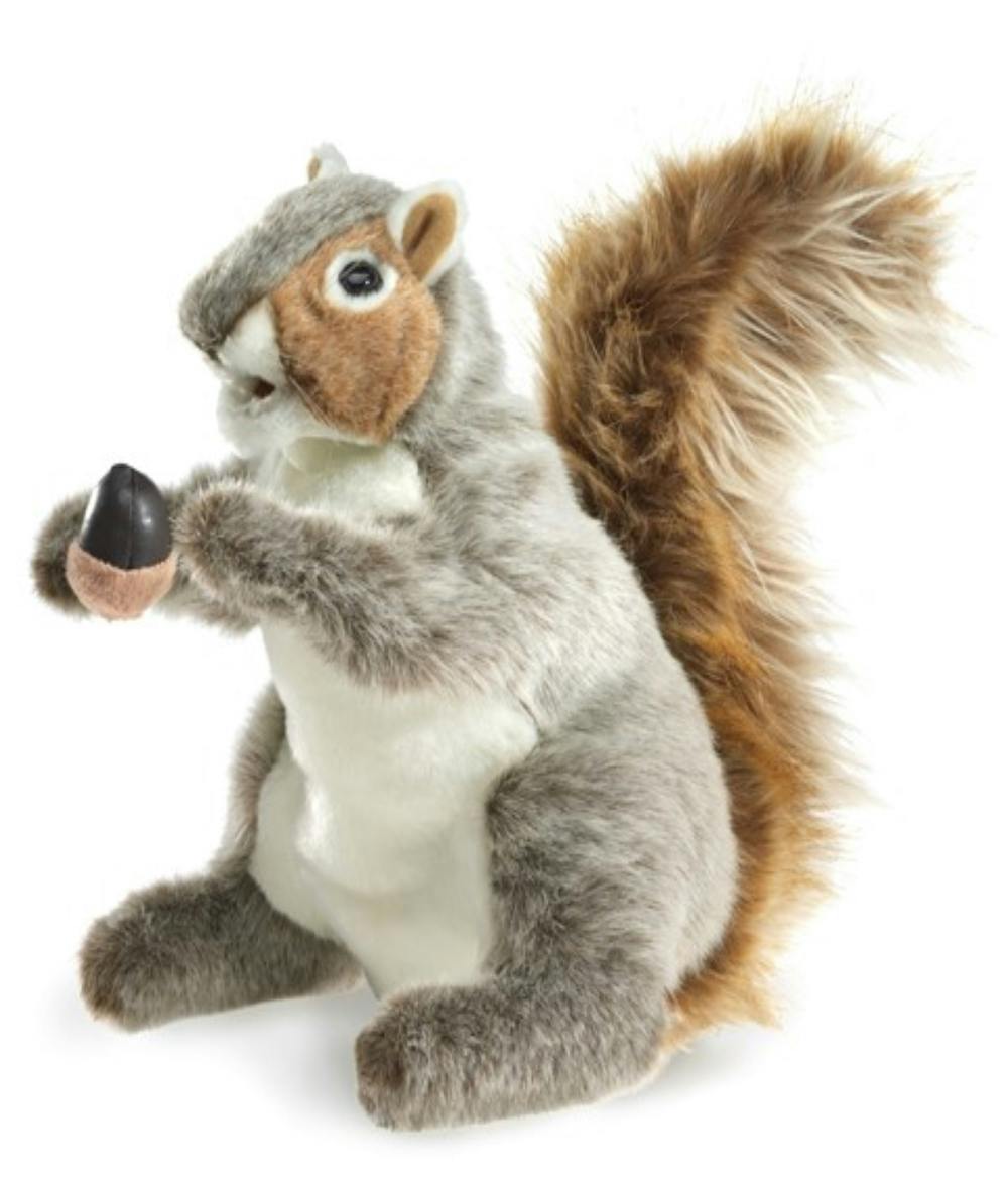 Gray Squirrel | Roanoke (VA) Gift & Plushie Delivery | George's Flowers