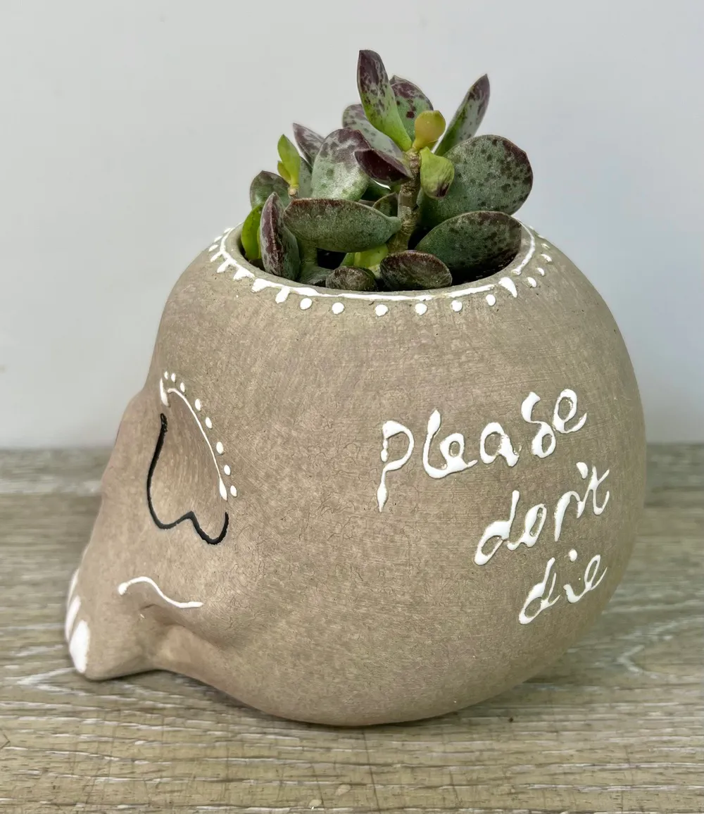 Green Plants Delivered Roanoke - George's Flowers